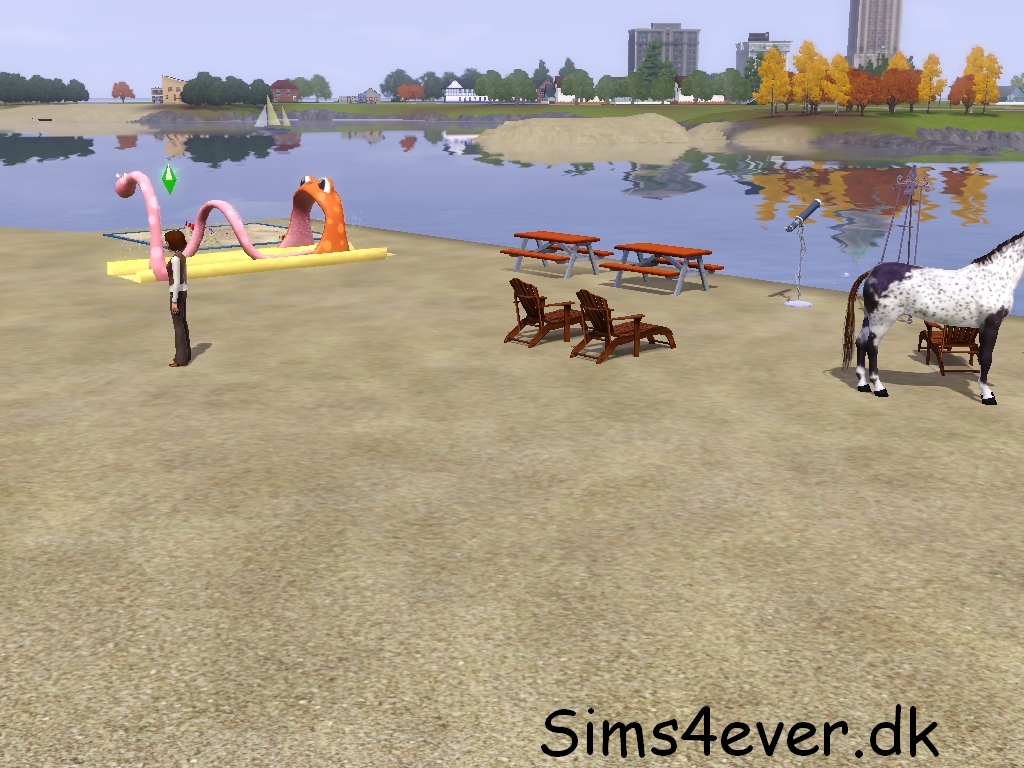 Den irske strand – sims4ever.dk